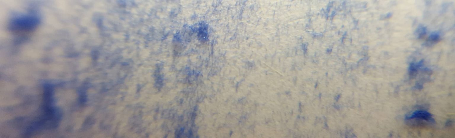 Spectro Coating - Flock Manufacturer and Short Cut Fiber Experts